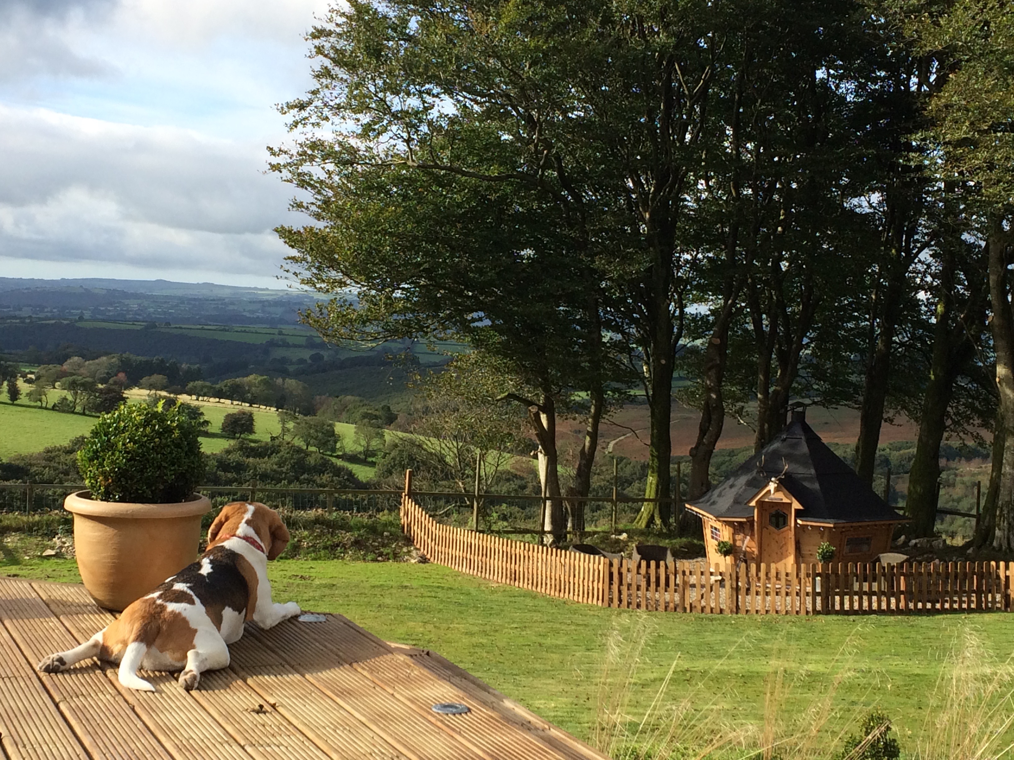 Preparing Your Garden for Summer | Cabin Master